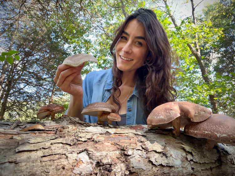 My Story – The Honeystead